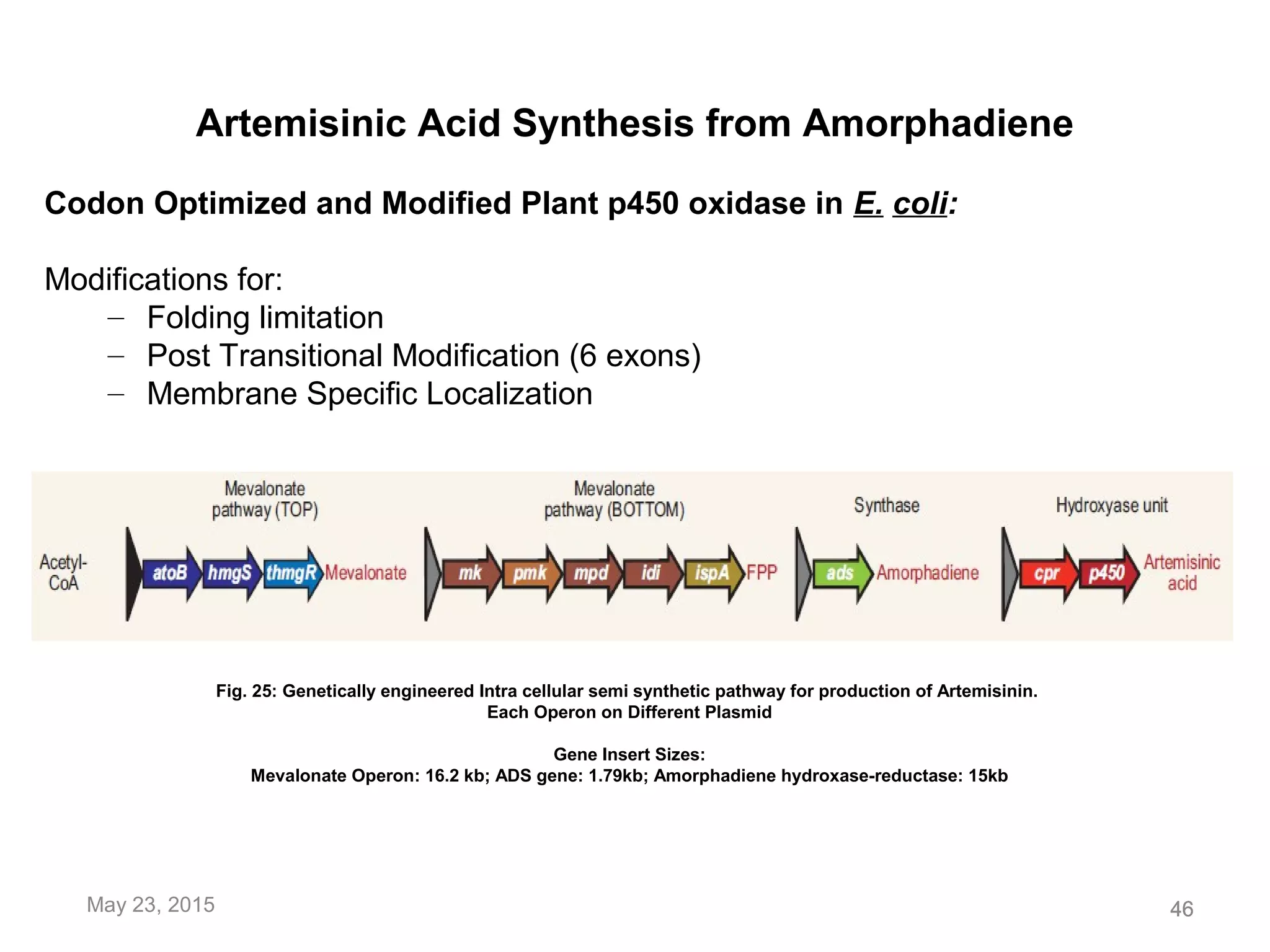 Synthetic biology: Concepts and Applications | PPT