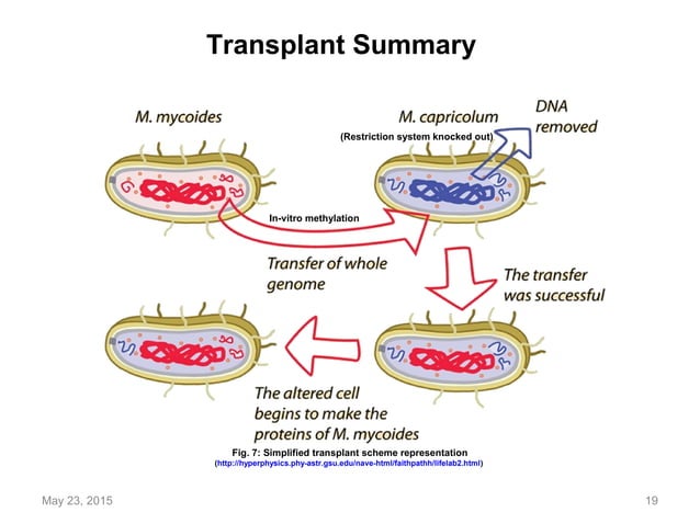 Synthetic biology: Concepts and Applications | PPT | Biological ...