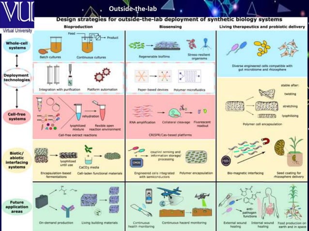Synthetic Biology.pptx