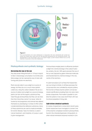 Synthetic biology a discussion paper | PDF | Biotech and Biomedical Industry | Industries