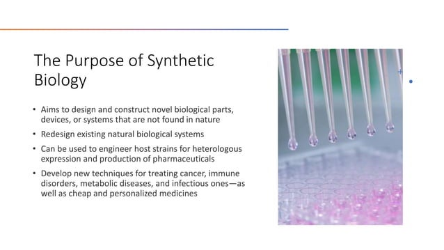 Ethical Issues in Synthetic Biology | PPTX | Biotech and Biomedical ...