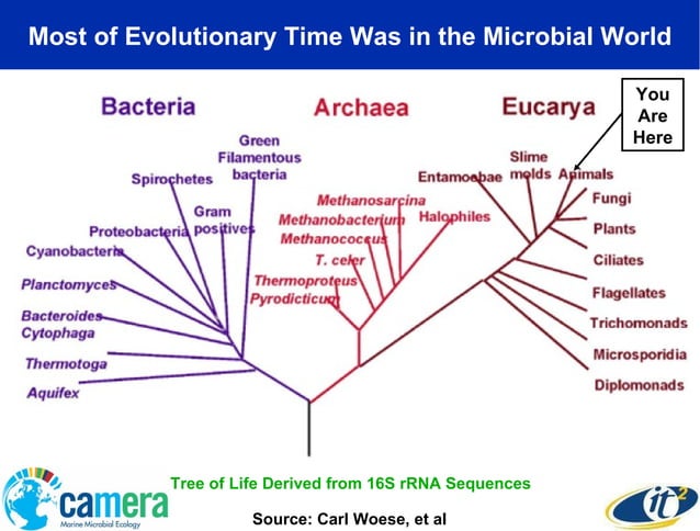 Building a Community Cyberinfrastructure to Support Marine Microbial Ecology Metagenomics | PPT