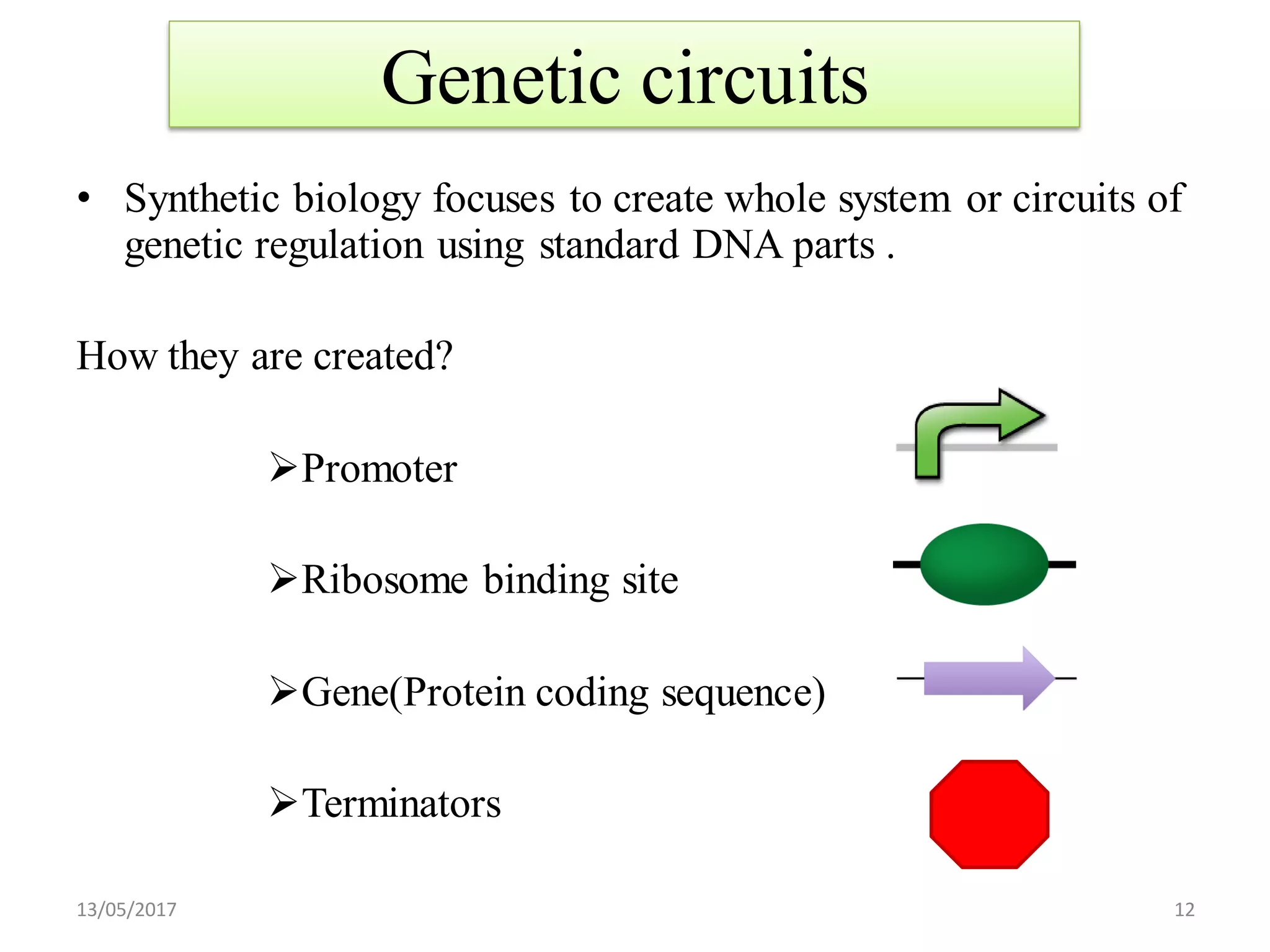 Synthetic biology for pathway engineering | PDF
