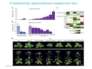 Synthetic biology for pathway engineering | PDF