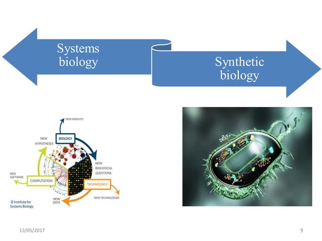Synthetic biology for pathway engineering | PDF