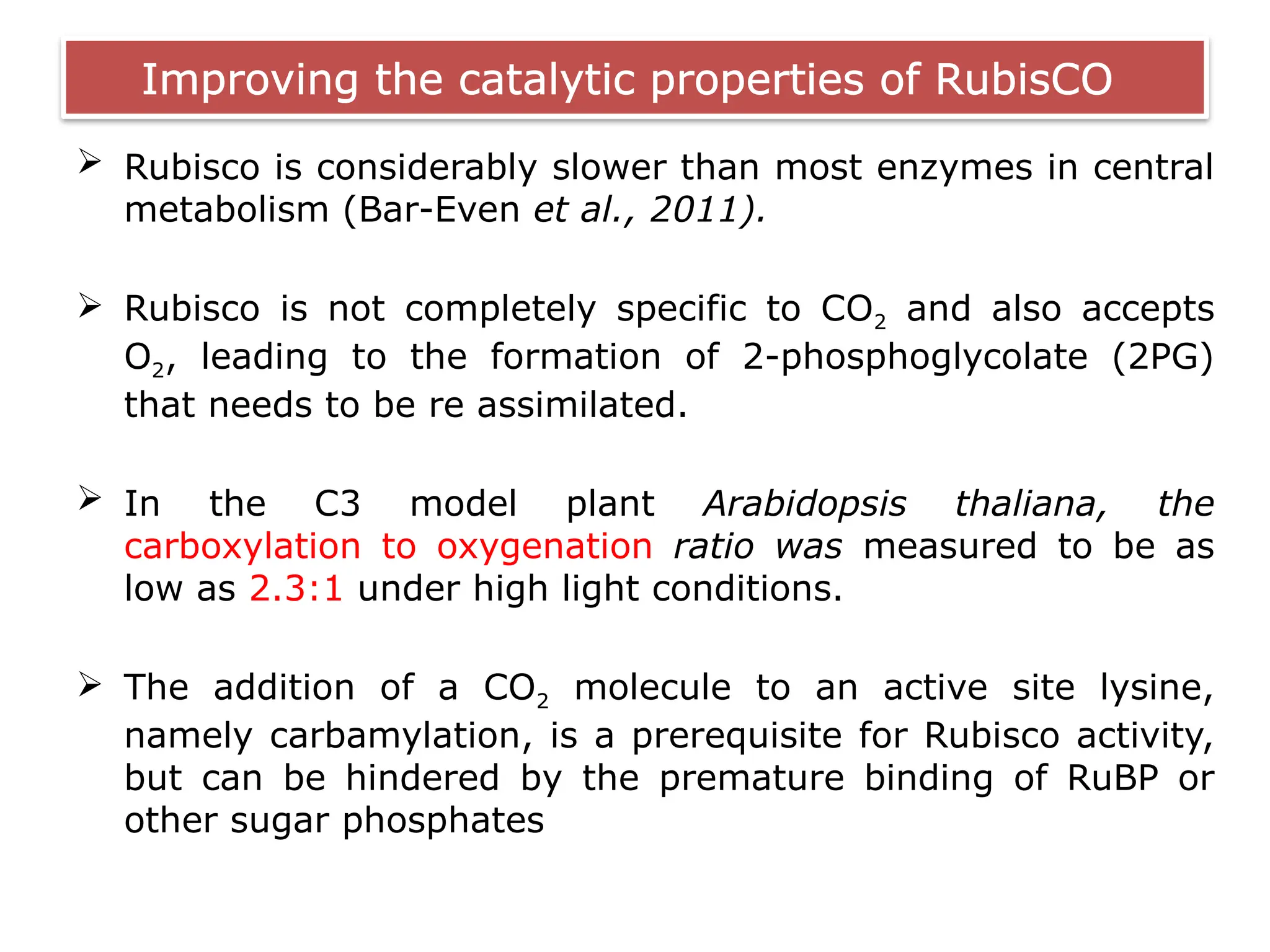 Synthetic biology in improving photosynthesis.pptx