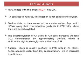 Synthetic biology in improving photosynthesis.pptx