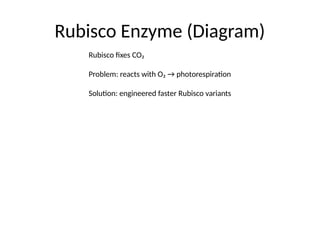 Synthetic_Biology_SmartArt_Diagrams_Presentation-1.pptx