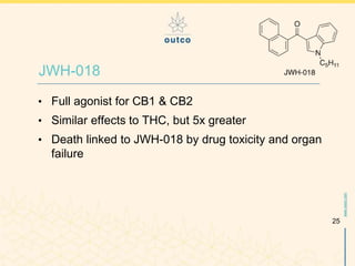 Synthetic Cannabinoids | PPTX
