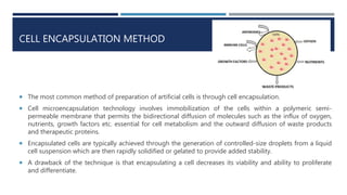 Synthetic cells | PPTX
