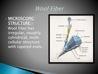 Synthetic fiber | PPTX