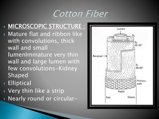 Synthetic fiber | PPTX