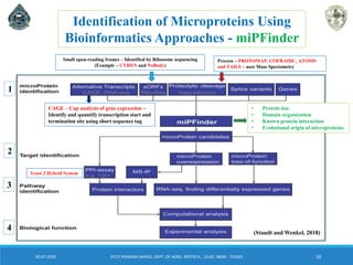 SYNTHETIC MICRO PROTEINS - VERSATILE TOOLS FOR THE REGULATION OF ...