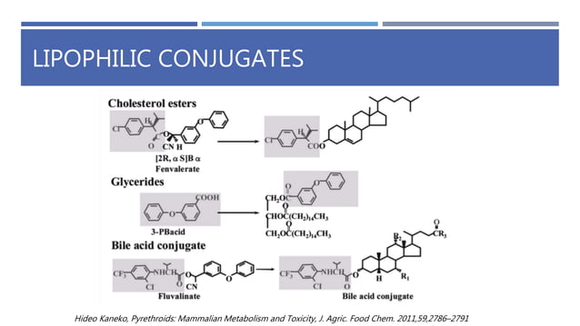 Synthetic Pyrethroids | PPTX | Chemistry | Science