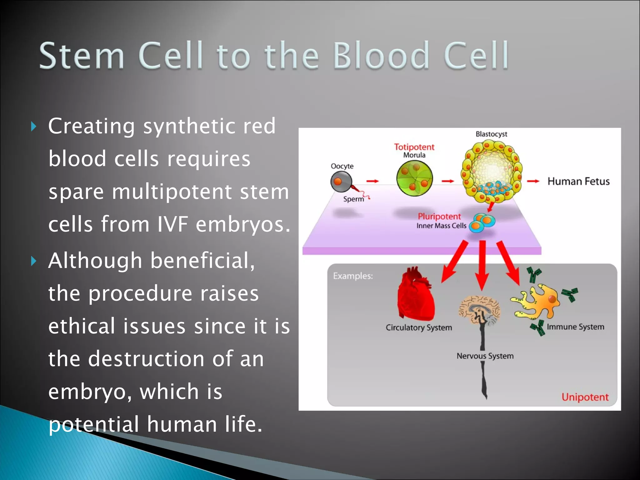 Synthetic red blood cells and platelets | PPT