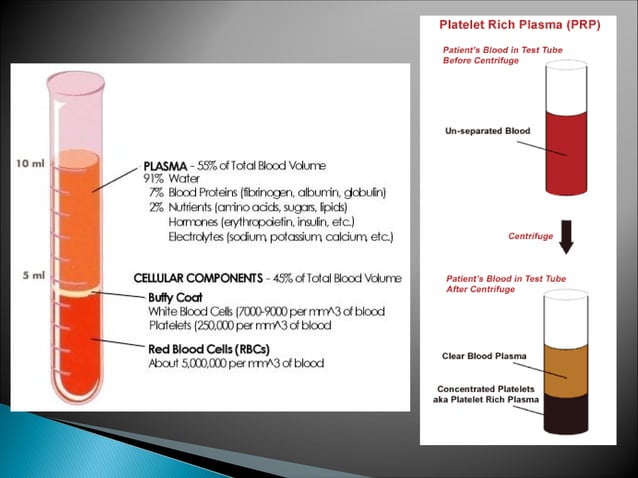 Synthetic red blood cells and platelets | PPT