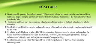 Synthetic Scaffold functions and Requirements.pptx