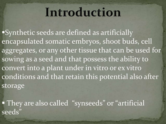 Synthetic seed | PPTX