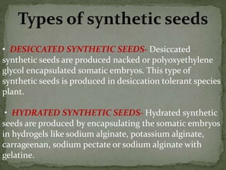 Synthetic seed | PPTX