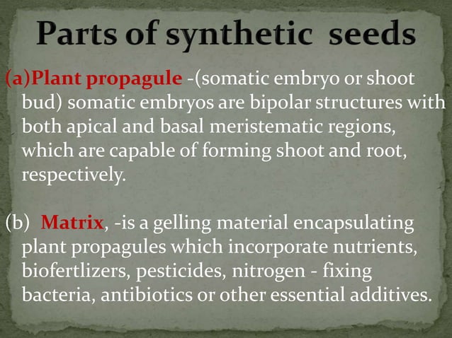Synthetic seed | PPTX