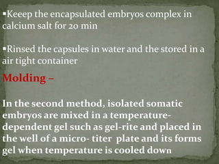 Synthetic seed | PPTX