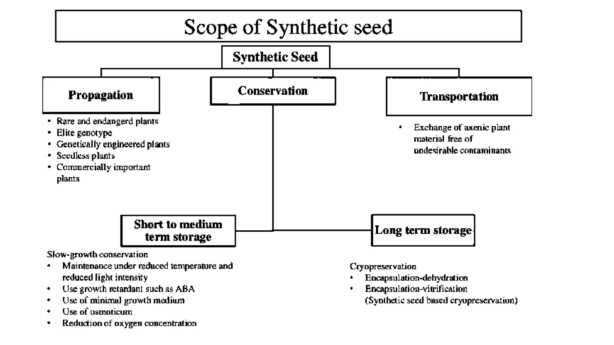 SYNTHETIC SEED.pptx