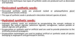 SYNTHETIC SEED.pptx