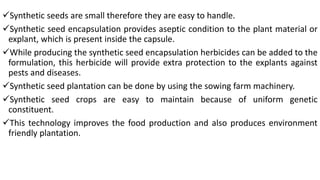 SYNTHETIC SEED.pptx