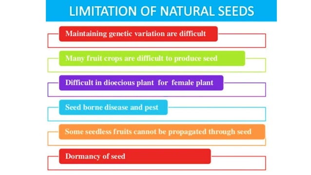 SYNTHETIC SEED.pptx | Agriculture | Industries