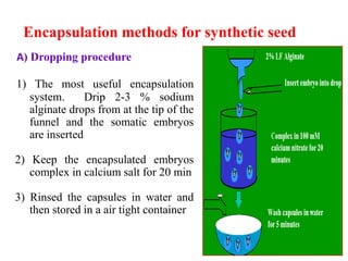 Synthetic seed production By- Parvati Pujar | PPTX