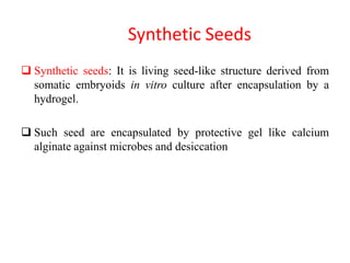 Synthetic seed production By- Parvati Pujar | PPTX