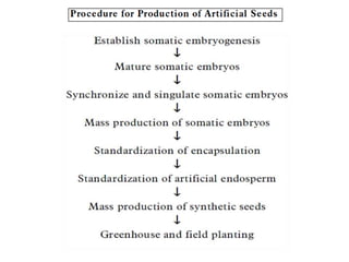 Synthetic seed production By- Parvati Pujar | PPTX
