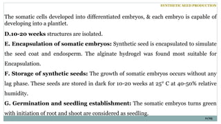 SYNTHETIC SEED PRODUCTION.............pptx