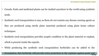 SYNTHETIC SEED PRODUCTION.............pptx
