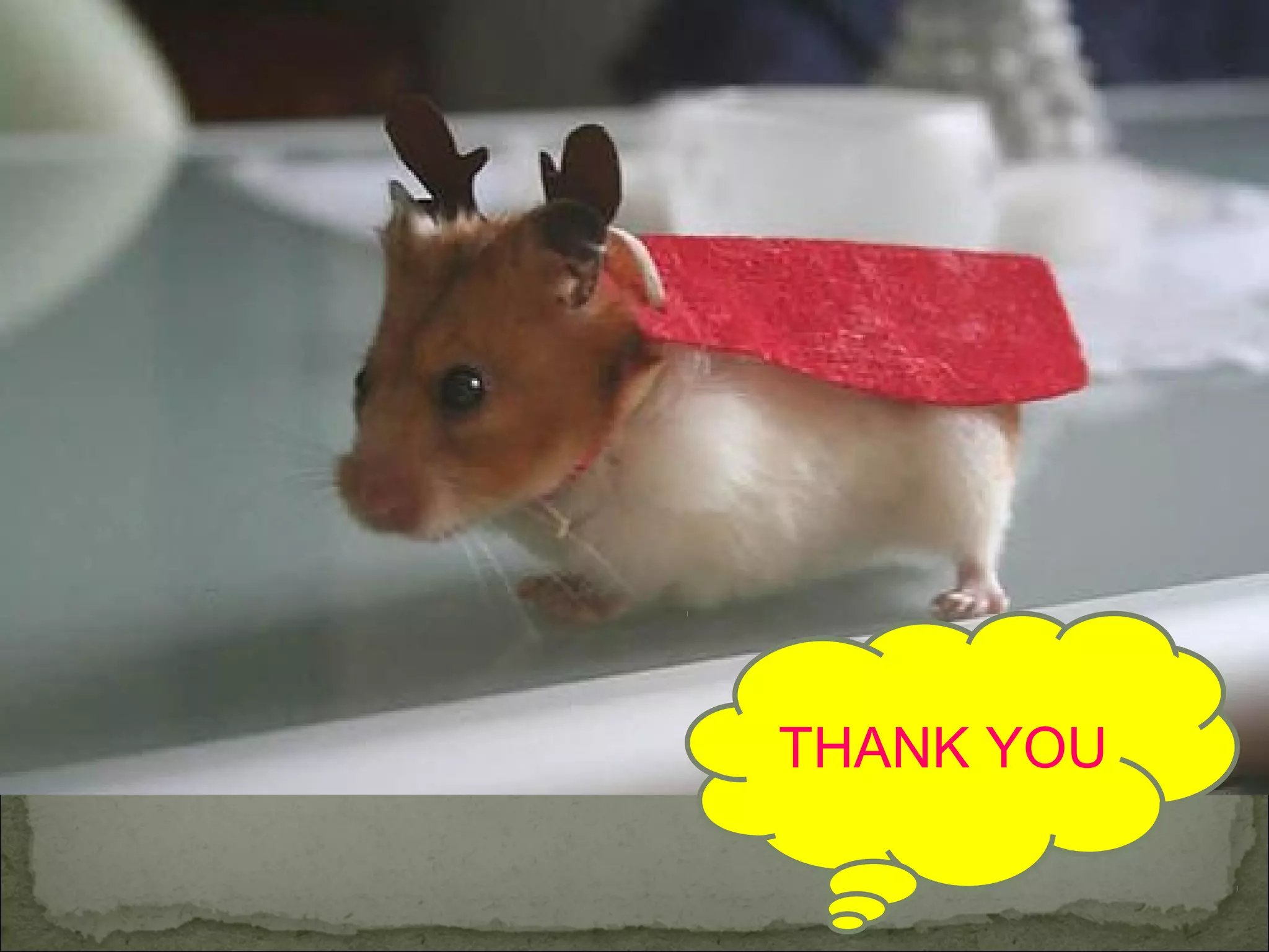 Synthetic Seeds | PPT