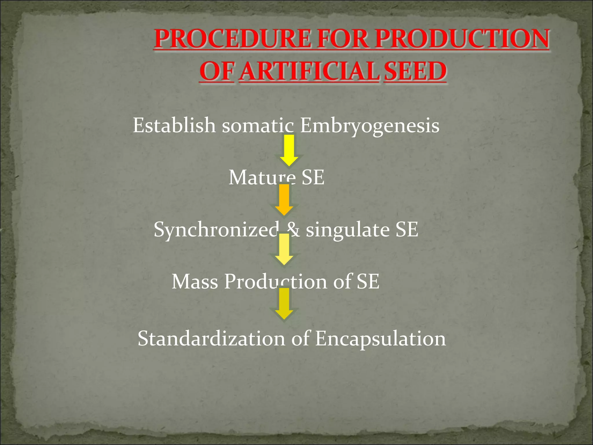 Synthetic Seeds | PPT