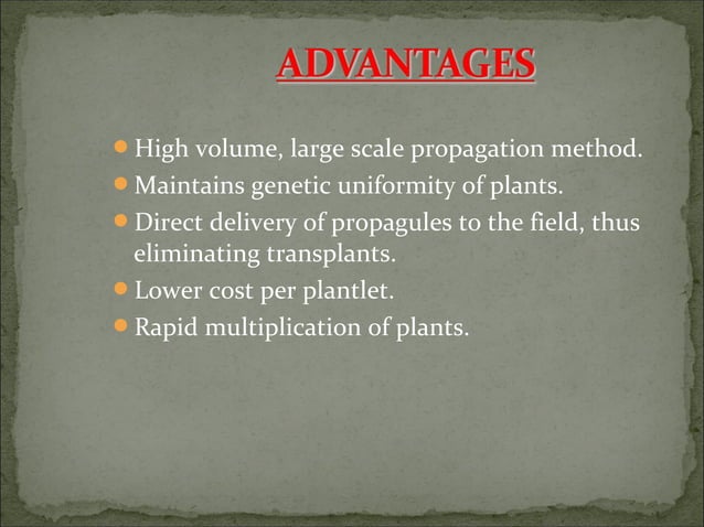 Synthetic Seeds | PPT