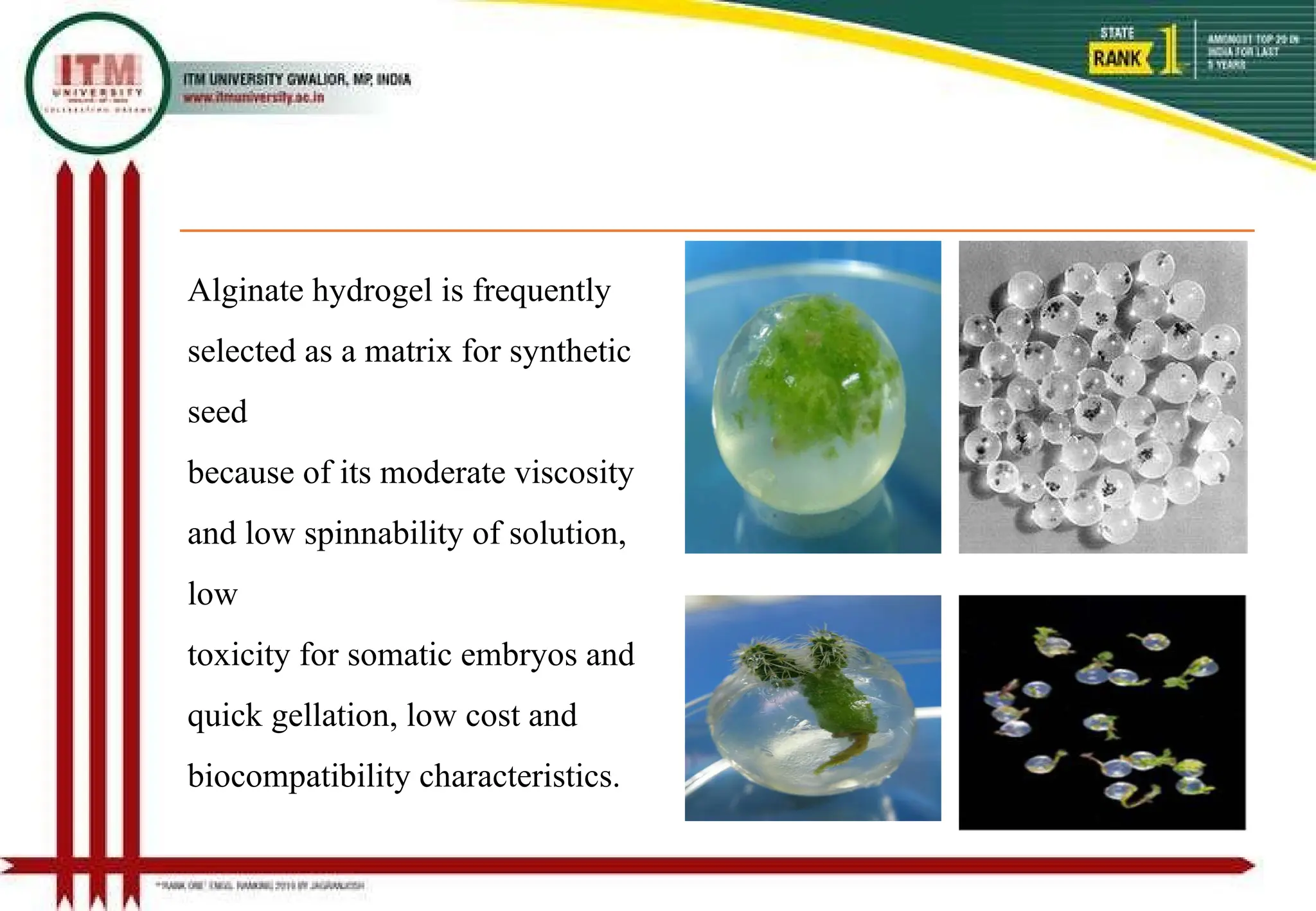 Micropropagation technologies -SYNTHETIC SEEDS .pptx