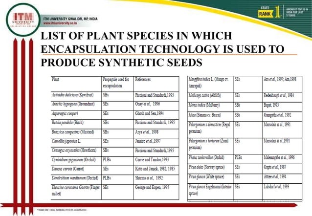 Micropropagation technologies -SYNTHETIC SEEDS .pptx
