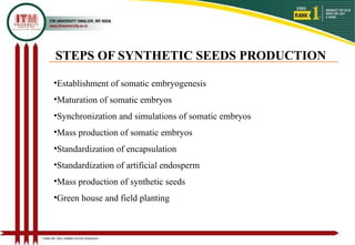 Micropropagation technologies -SYNTHETIC SEEDS .pptx