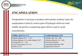 Micropropagation technologies -SYNTHETIC SEEDS .pptx