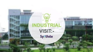 Synthite Company Info [ industrial visit ] | PPTX