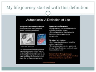 Syntony leadership | PPT