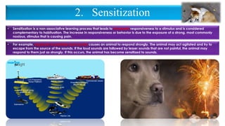 Habituation, Sensitization, Associative Learning, Imprinting & Insight ...