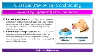 Habituation, Sensitization, Associative Learning, Imprinting & Insight ...