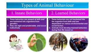 Habituation, Sensitization, Associative Learning, Imprinting & Insight ...