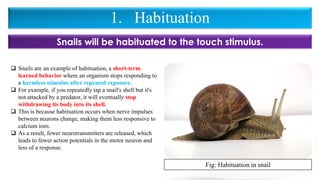 Habituation, Sensitization, Associative Learning, Imprinting & Insight ...