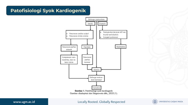 Syok Kardiogenik dan UAP dd NSTEMI di Sleman | PDF