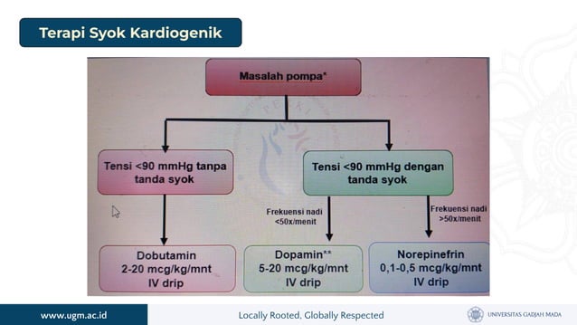 Syok Kardiogenik dan UAP dd NSTEMI di Sleman | PDF