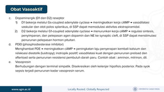 Syok Kardiogenik dan UAP dd NSTEMI di Sleman | PDF